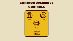 Overdrive vs Distortion vs Fuzz: The Complete Gain Pedal Guide