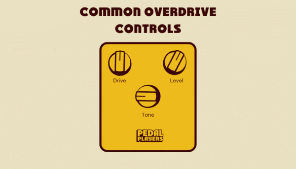 Overdrive vs Distortion vs Fuzz: The Complete Gain Pedal Guide